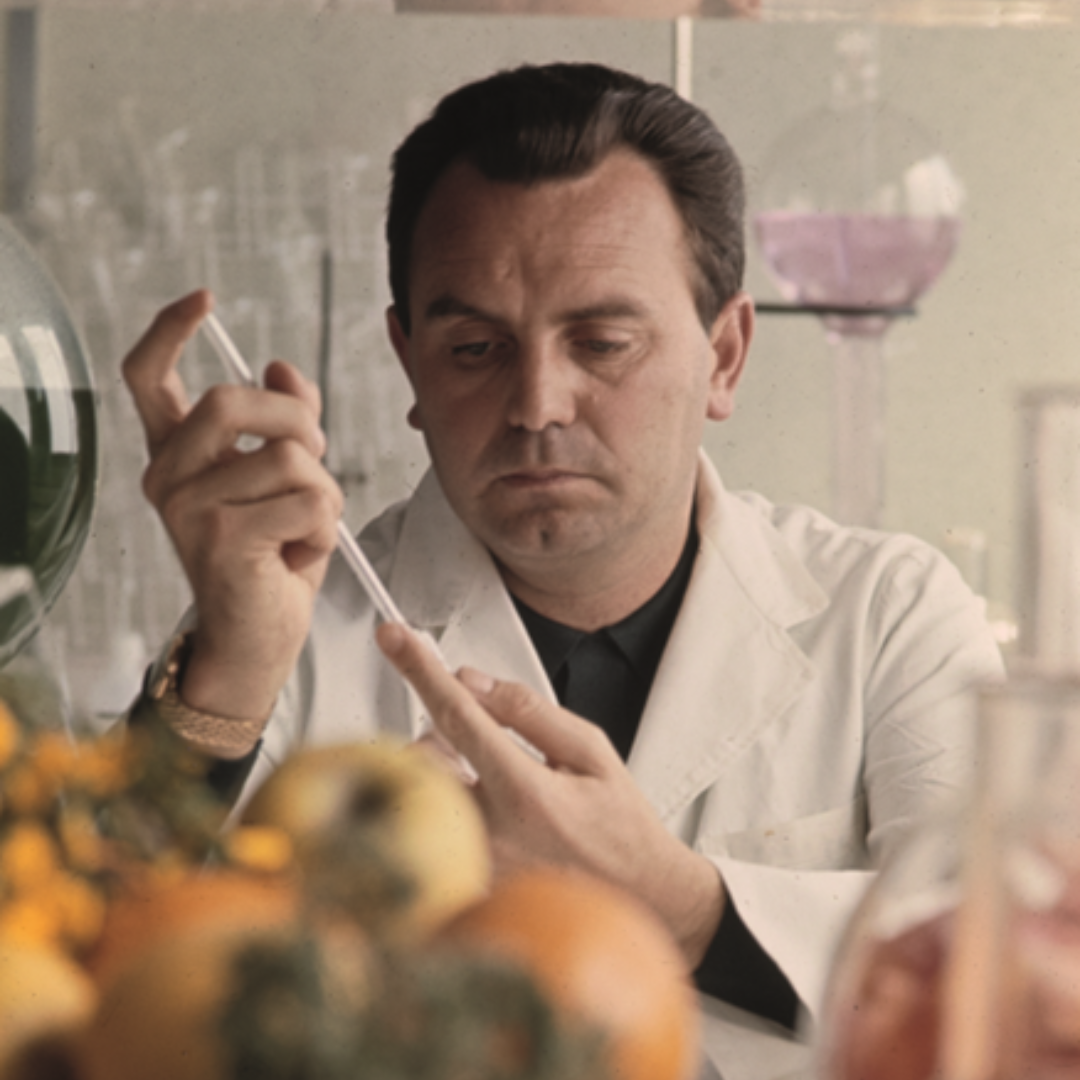 Yves Rocher | Groupe Rocher